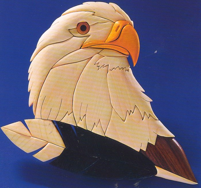 Eagle - Intarsia by Garnet Hall - SawBird.com